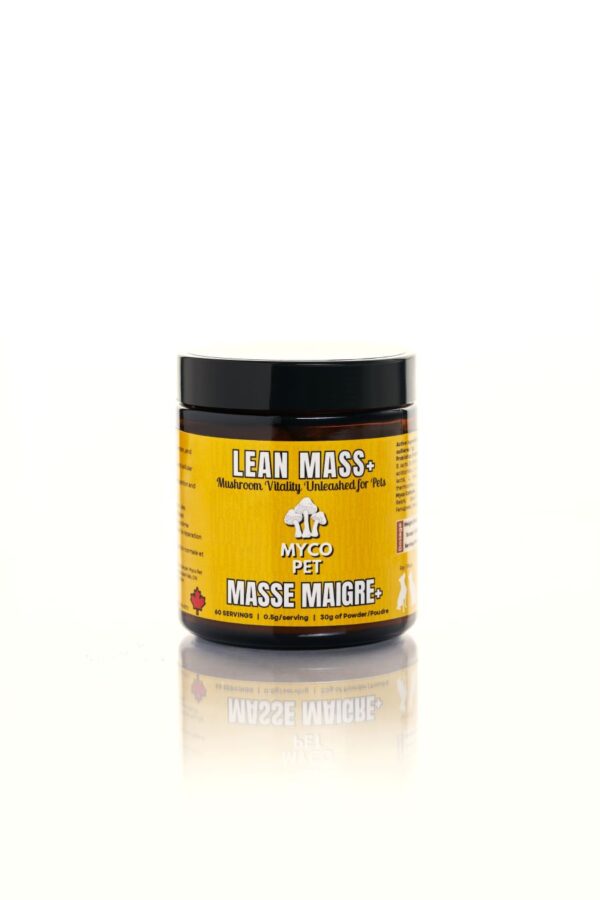 Myco ~ Lean Mass+ - Arrowhead Labradoodles